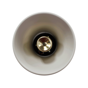 Megaphone - ACR Electronics, Inc