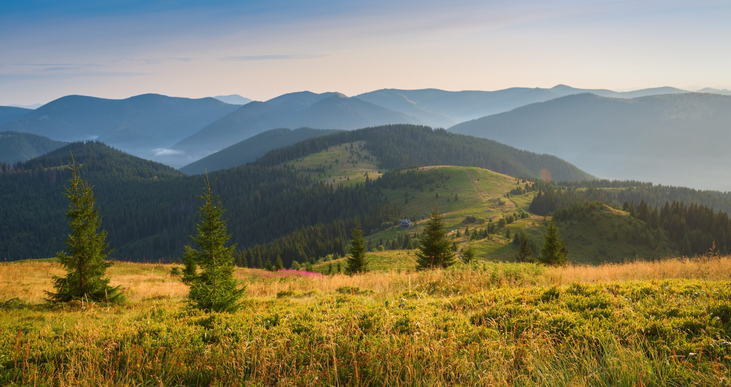 PLB Rescue Quad Bike Accident: My Experience - ACR Electronics, Inc